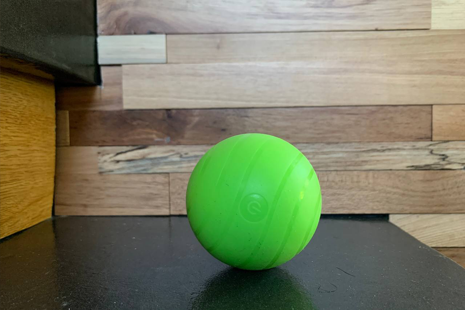 Pet Ball
