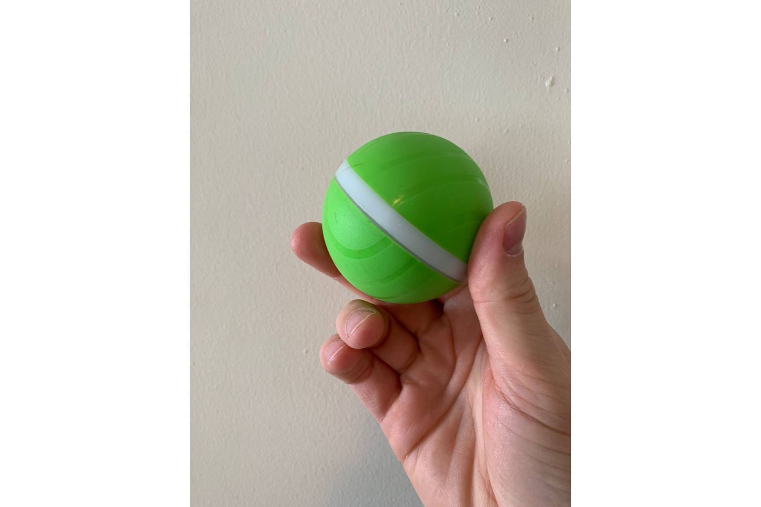 Pet Ball